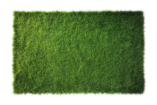 「芝生」の写真素材 | 4,337,599件の無料イラスト画像 | Adobe Stock