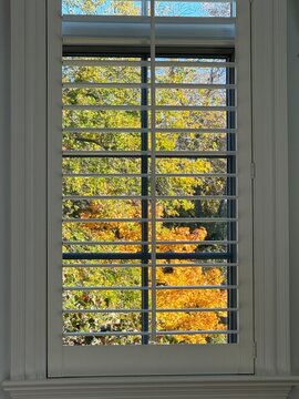 "Window Leaves" Images – Browse 439 Stock Photos, Vectors, and Video ...