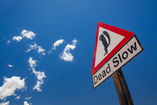 "Dead Slow" Images – Browse 33 Stock Photos, Vectors, and Video | Adobe ...