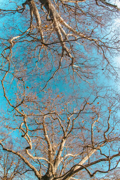 "Sous Images – Browse 62,845 Stock Photos, Vectors, and Video | Adobe Stock