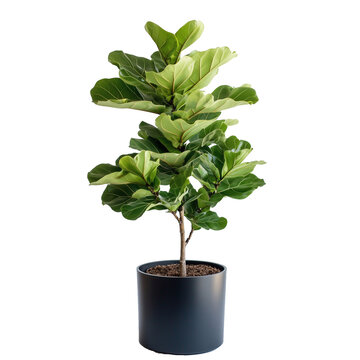 MicroTee photos, images, assets | Adobe Stock