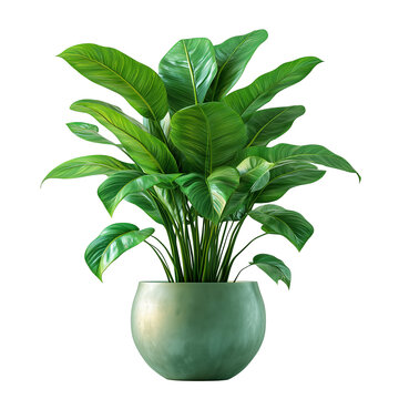 MicroTee photos, images, assets | Adobe Stock