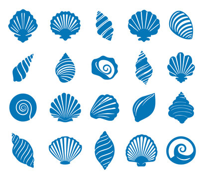Sea Shell Clip Art