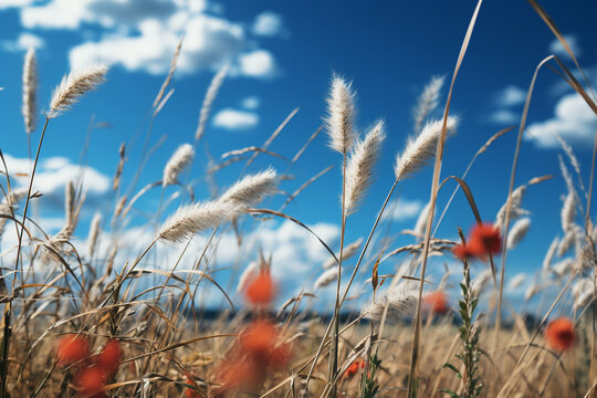 Convergence Images – Browse 183,896 Stock Photos, Vectors, and Video ...