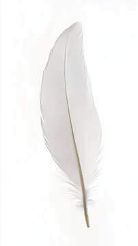 MicroTee photos, images, assets | Adobe Stock