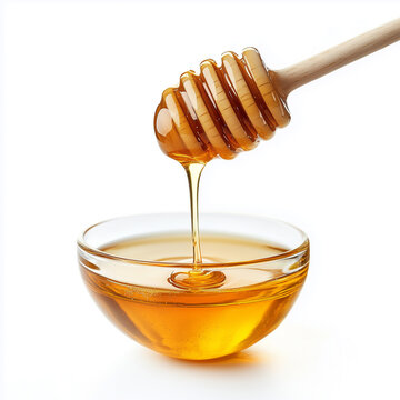 MicroTee photos, images, assets | Adobe Stock