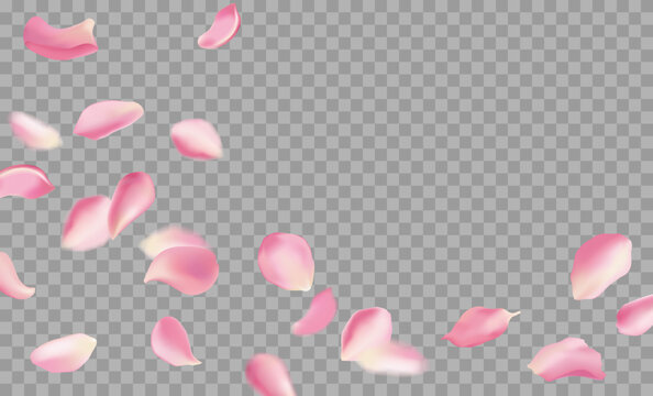 Falling Sakura Wallpaper Images – Browse 23,854 Stock Photos, Vectors ...