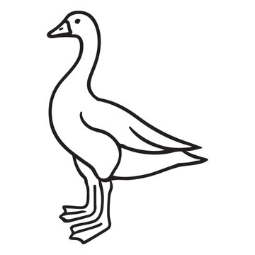 Goose Line Drawing Images – Browse 14,587 Stock Photos, Vectors, and ...