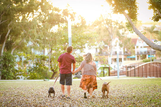 Caseyjadew photos, images, assets | Adobe Stock