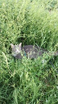 z1shop photos, images, assets | Adobe Stock