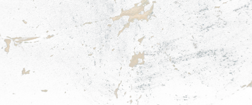 Wallpapered Walls PNGs – Transparent Background Images | PikWizard