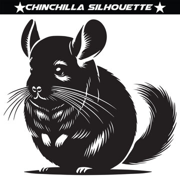 Arnab photos, images, assets | Adobe Stock