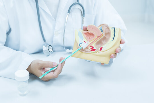 Cervical Cancer Screening Images – Browse 2,280 Stock Photos, Vectors ...