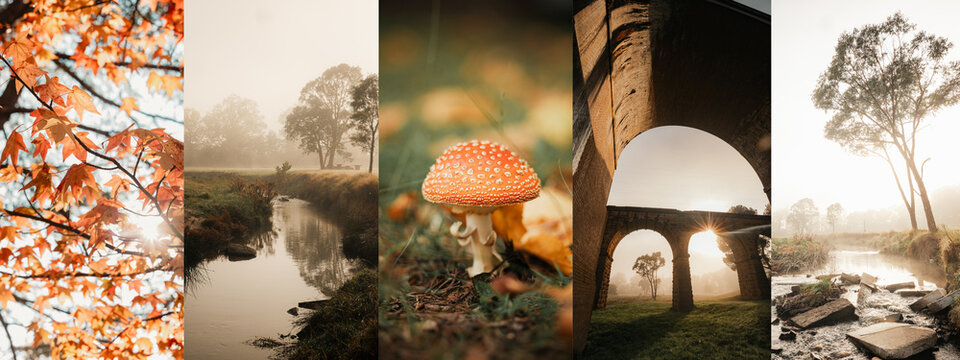 Caseyjadew photos, images, assets | Adobe Stock