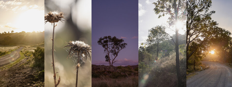 Caseyjadew photos, images, assets | Adobe Stock