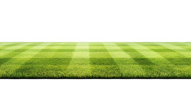 「芝生」の写真素材 | 4,337,599件の無料イラスト画像 | Adobe Stock