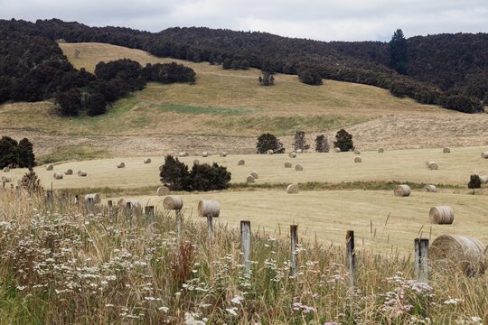 "Hay Rolls" Images – Browse 1,324 Stock Photos, Vectors, and Video ...