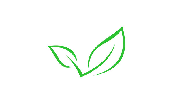 two green leaf logo