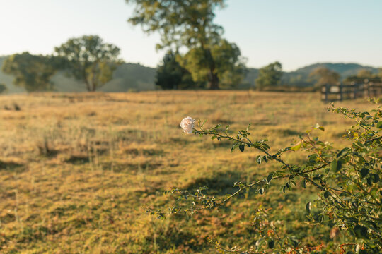 Caseyjadew photos, images, assets | Adobe Stock