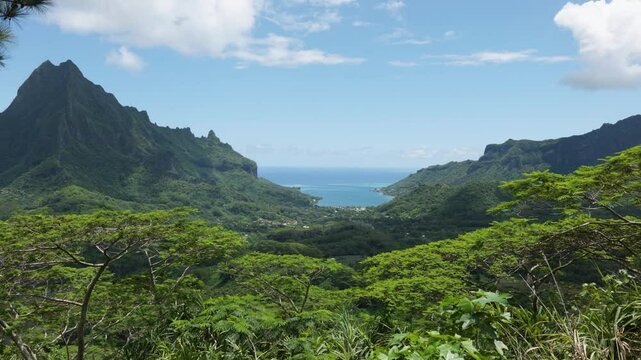 "French Polynesia" Images – Browse 36,691 Stock Photos, Vectors, and ...
