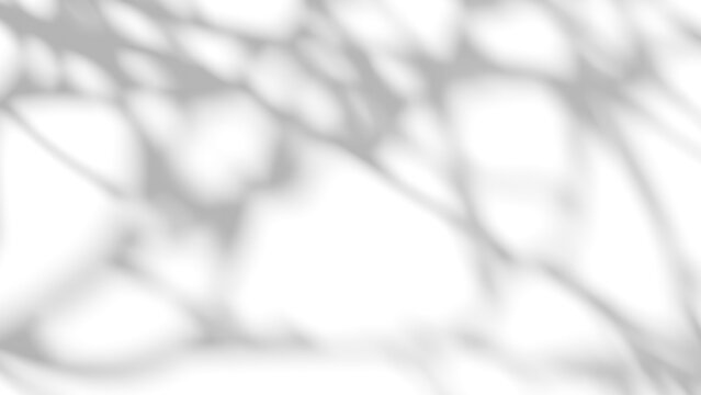 Opacity Images – Browse 56,239 Stock Photos, Vectors, and Video | Adobe ...