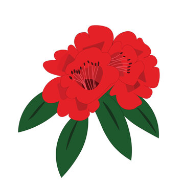 Laliguras Images – Browse 22 Stock Photos, Vectors, and Video | Adobe Stock