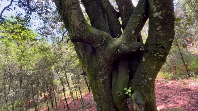 "Canted Angle" Images – Browse 4,176 Stock Photos, Vectors, and Video ...