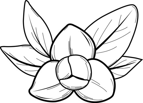 รูปภาพRumdul – เลือกดูภาพถ่ายสต็อก เวกเตอร์ และวิดีโอ499 | Adobe Stock