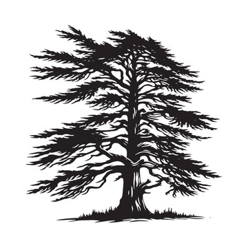 Western Hemlock Tree Tattoo