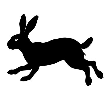 Running Rabbit Outline
