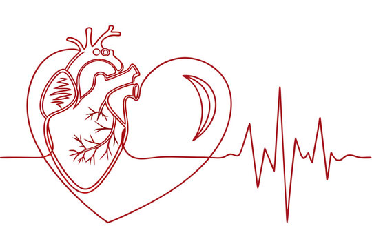 Medical Heart Drawing