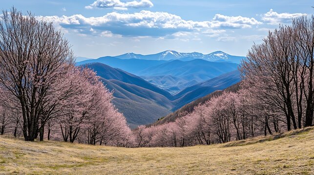 "Spring Mountains" Images – Browse 10,507 Stock Photos, Vectors, and ...