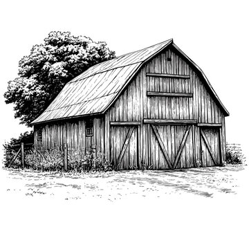 barn drawing