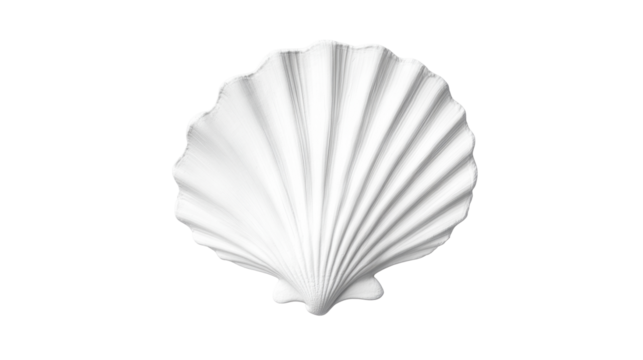 Coastal Livelihood PNGs – Transparent Background Images | PikWizard