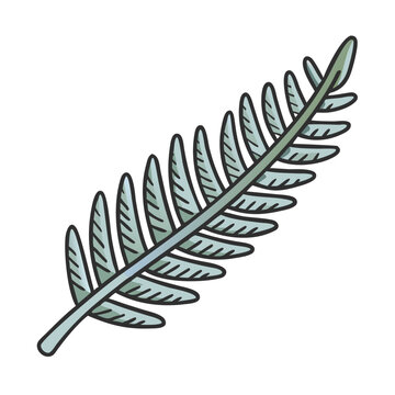Simple Nz Fern Drawing