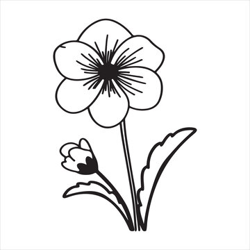 "Marsh Marigold" Images – Browse 16,658 Stock Photos, Vectors, and ...