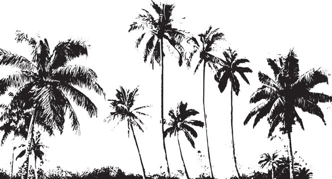 Palm Trees Outline