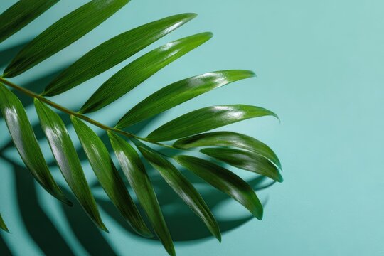 Vibe Frê Images – Browse 11 Stock Photos, Vectors, and Video | Adobe Stock