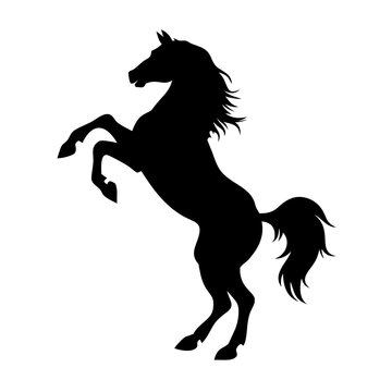 Mustang Horse Rearing Images – Browse 8,020 Stock Photos, Vectors, and ...