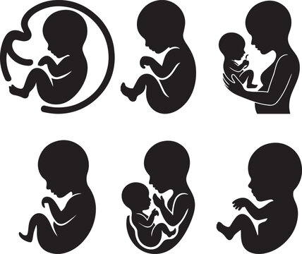Fetal Growth bilder – Bläddra bland 14,963 stockfoton, vektorer och ...
