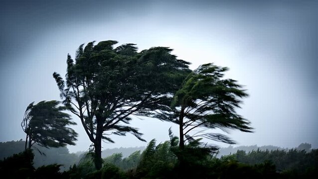 "Dangerous Wind"-Bilder: Stock-Fotos & -Videos. | Adobe Stock