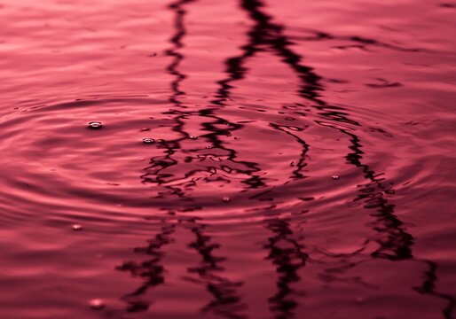 "Red Water" Images – Browse 21,743 Stock Photos, Vectors, and Video ...