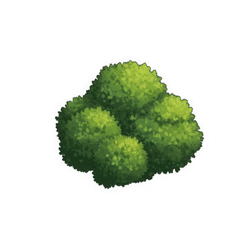Cartoon Bush Images – Browse 172,814 Stock Photos, Vectors, and Video ...