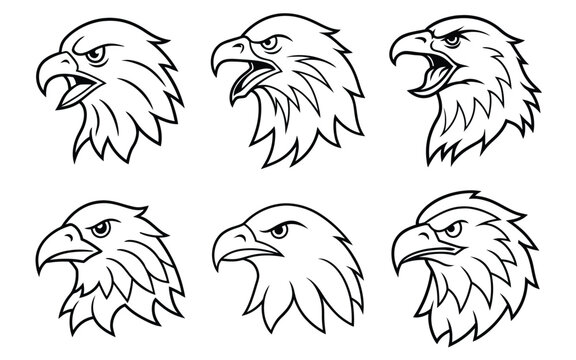 fine line eagle drawing