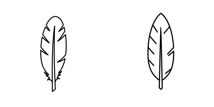 turkey feathers vector