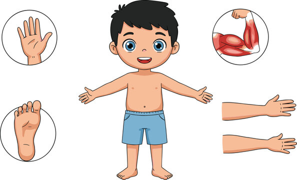 Parts Of The Body Cartoon Pictures