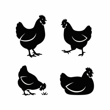 "Chicken Vector" Images – Browse 3,714 Stock Photos, Vectors, and Video ...