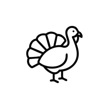 Turkey Outline Simple