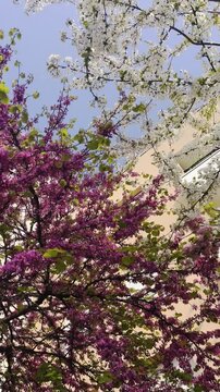 Sigh=N Stock Videos – 3 HD & 4K Footage Clips | Adobe Stock