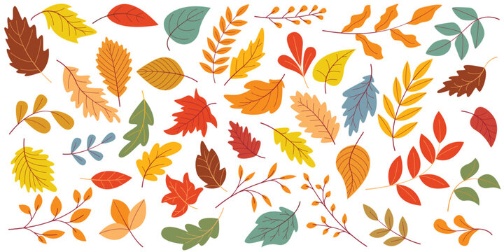 fall leaf clipart easy